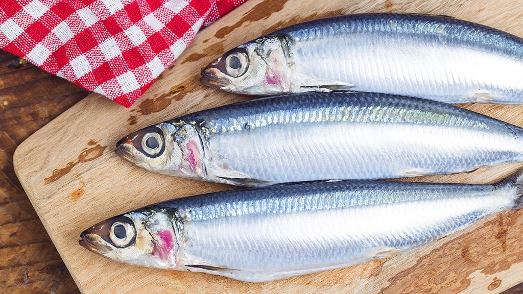 Sardinha - Absorvit Vitaminas